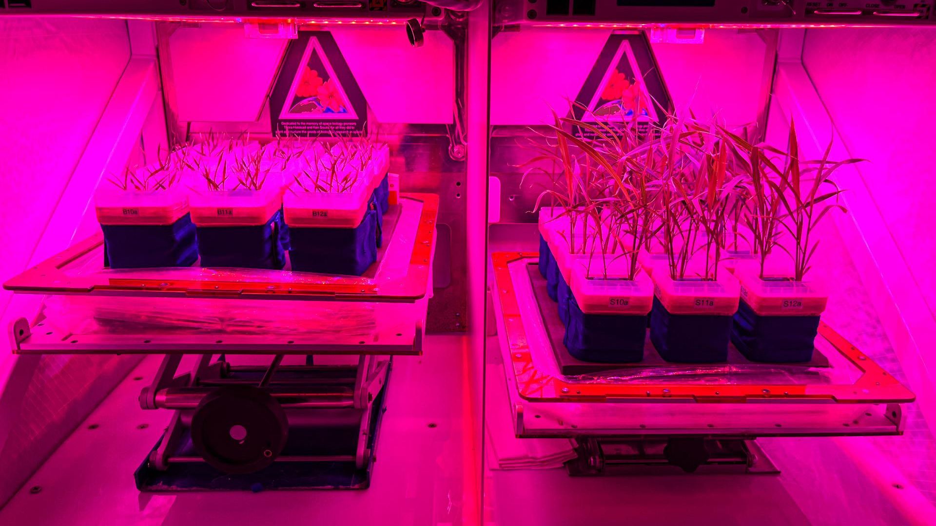 NASA SpaceX 30th cargo mission to execute experiments on ISS