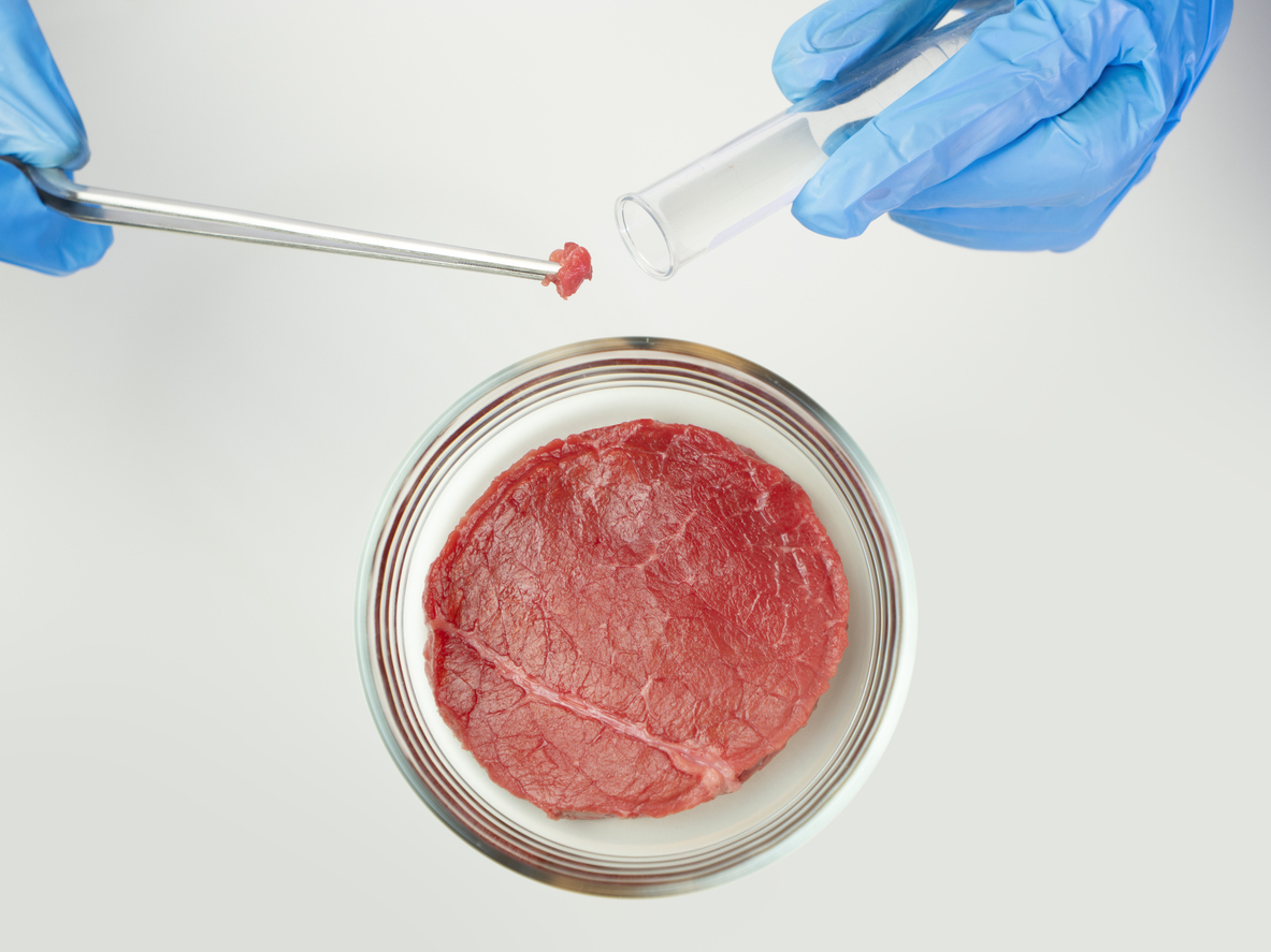 From lab to table: Will cultured meat ever be as good as the real thing?