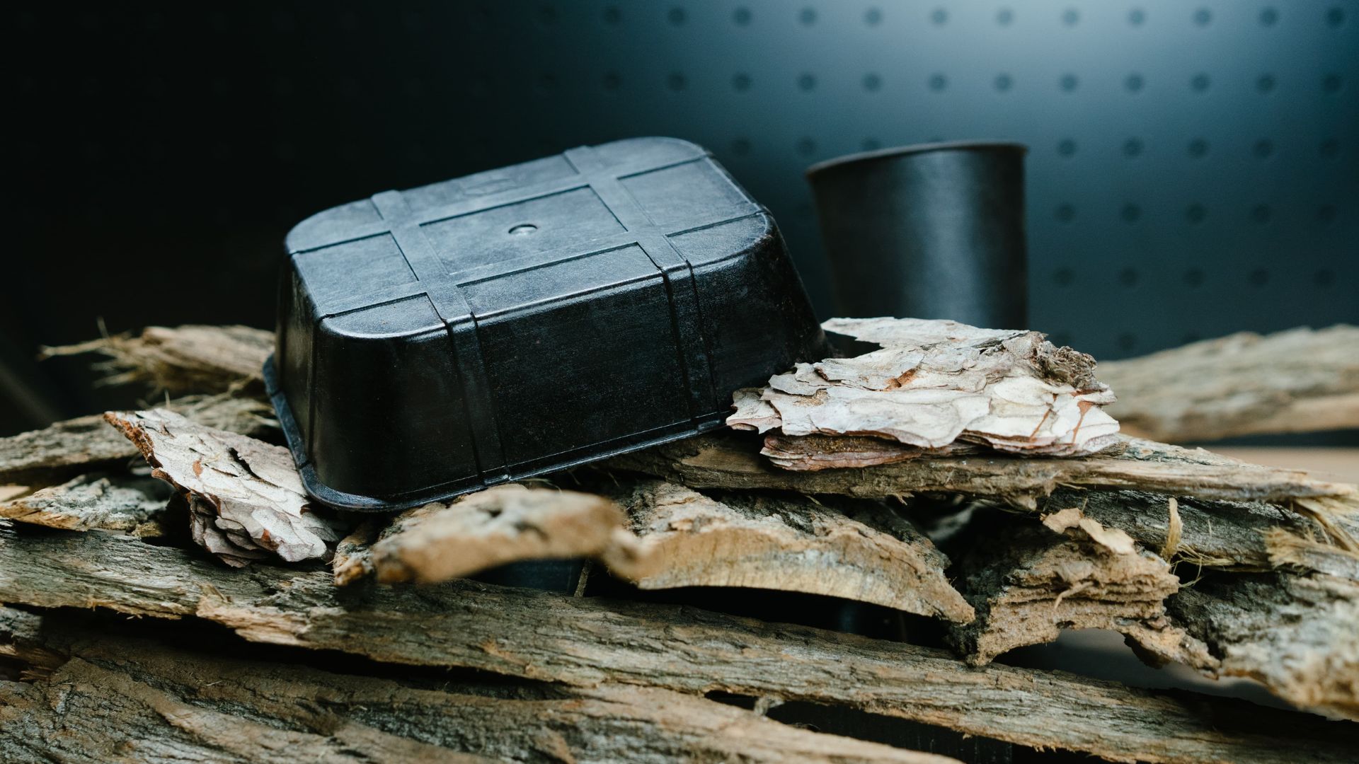 World's first tree bark-based alternative to plastic packing material ...