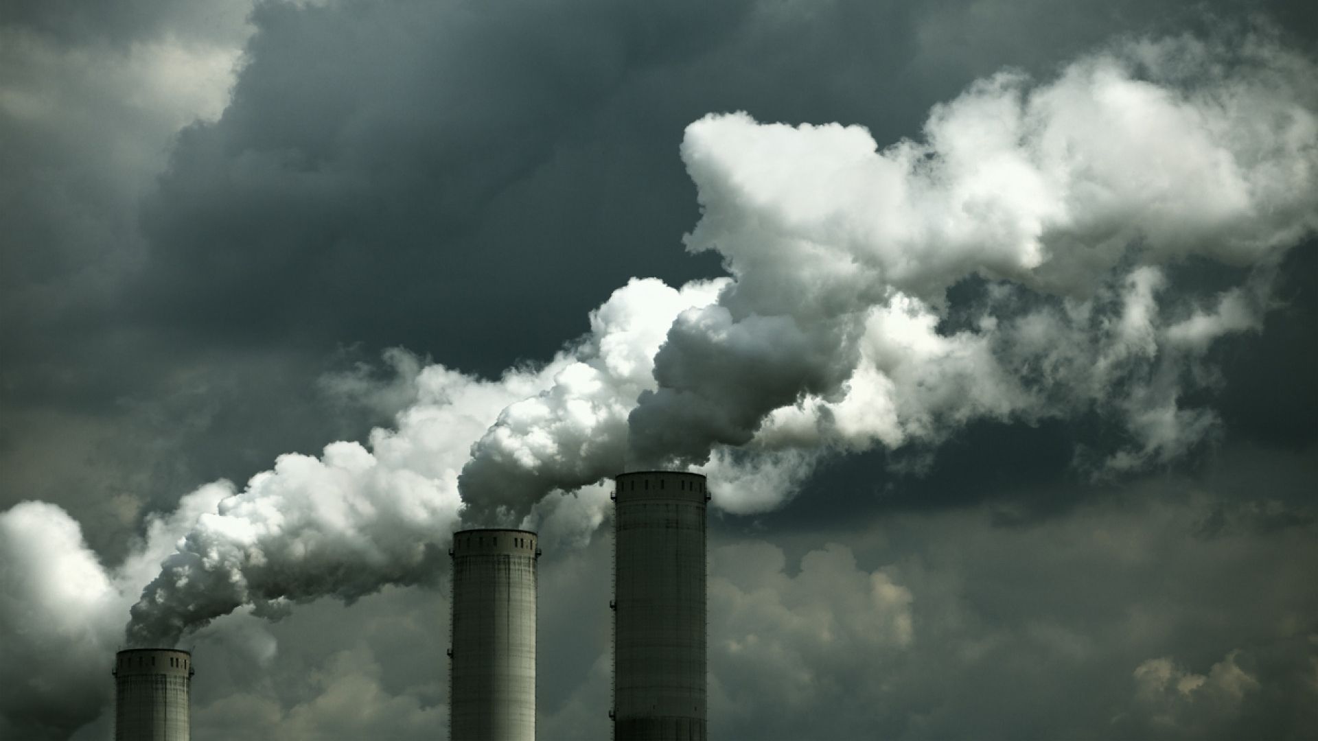 6 toxic chemicals we're exposed to daily and how to avoid them ...