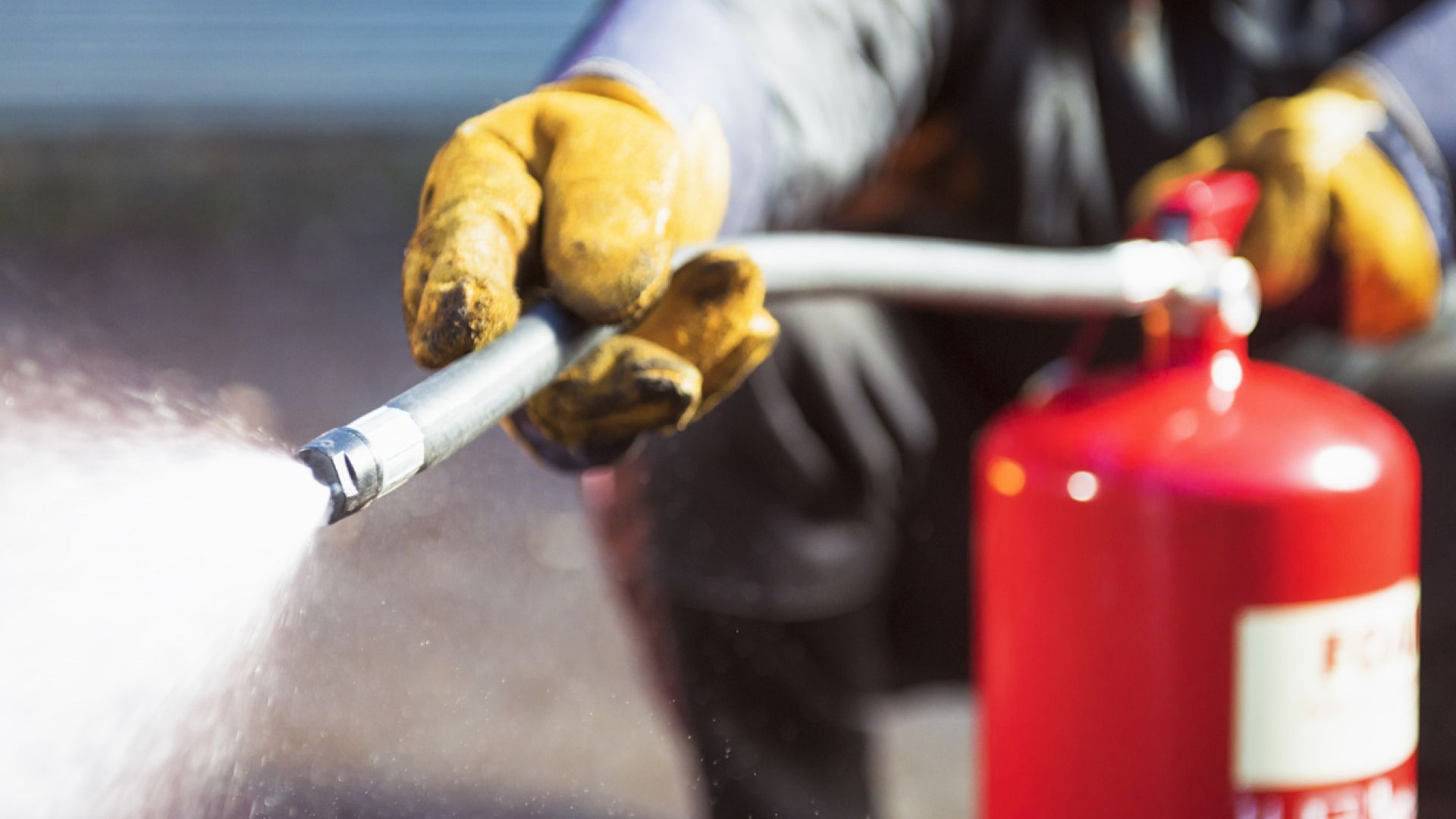 6 toxic chemicals we're exposed to daily and how to avoid them ...