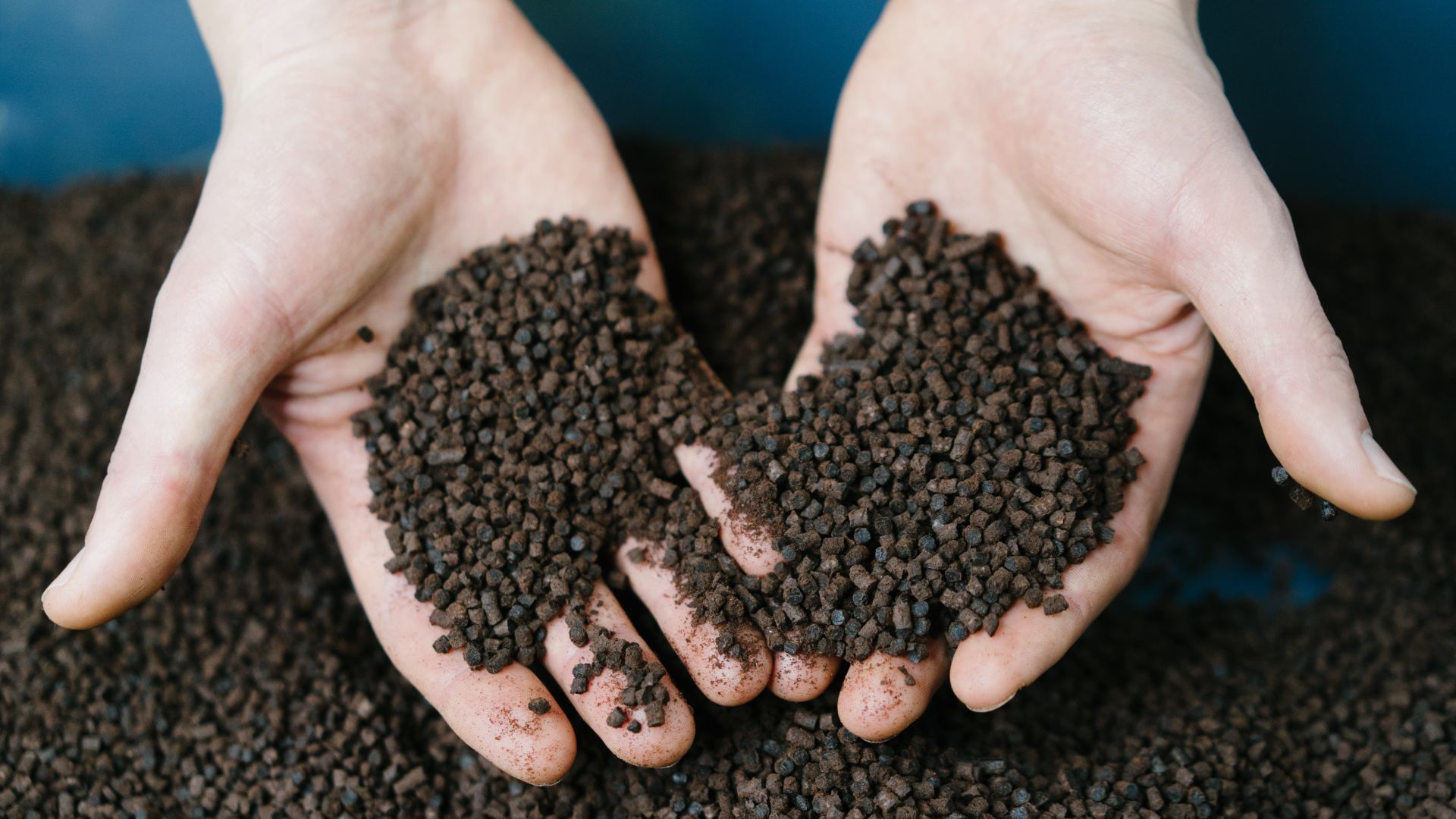 World's first tree bark-based alternative to plastic packing material ...
