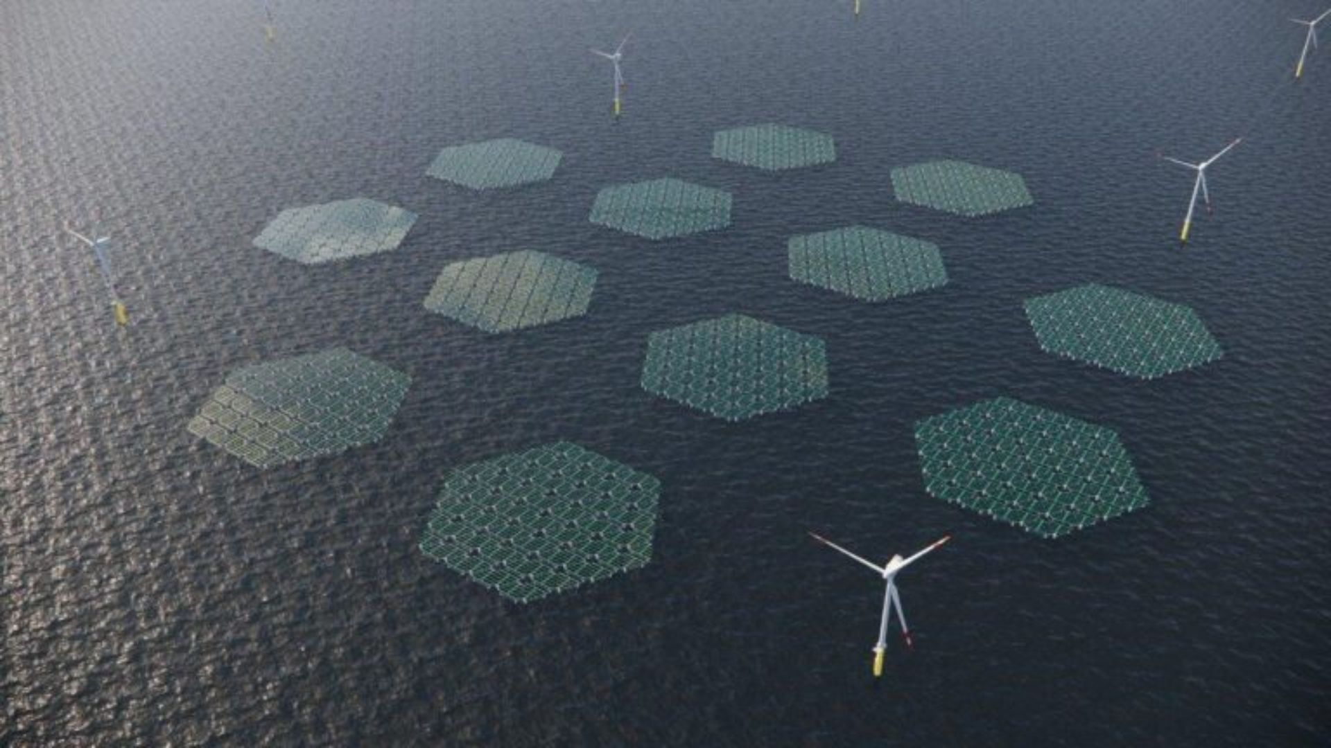 World’s largest floating offshore solar power plant construction begins