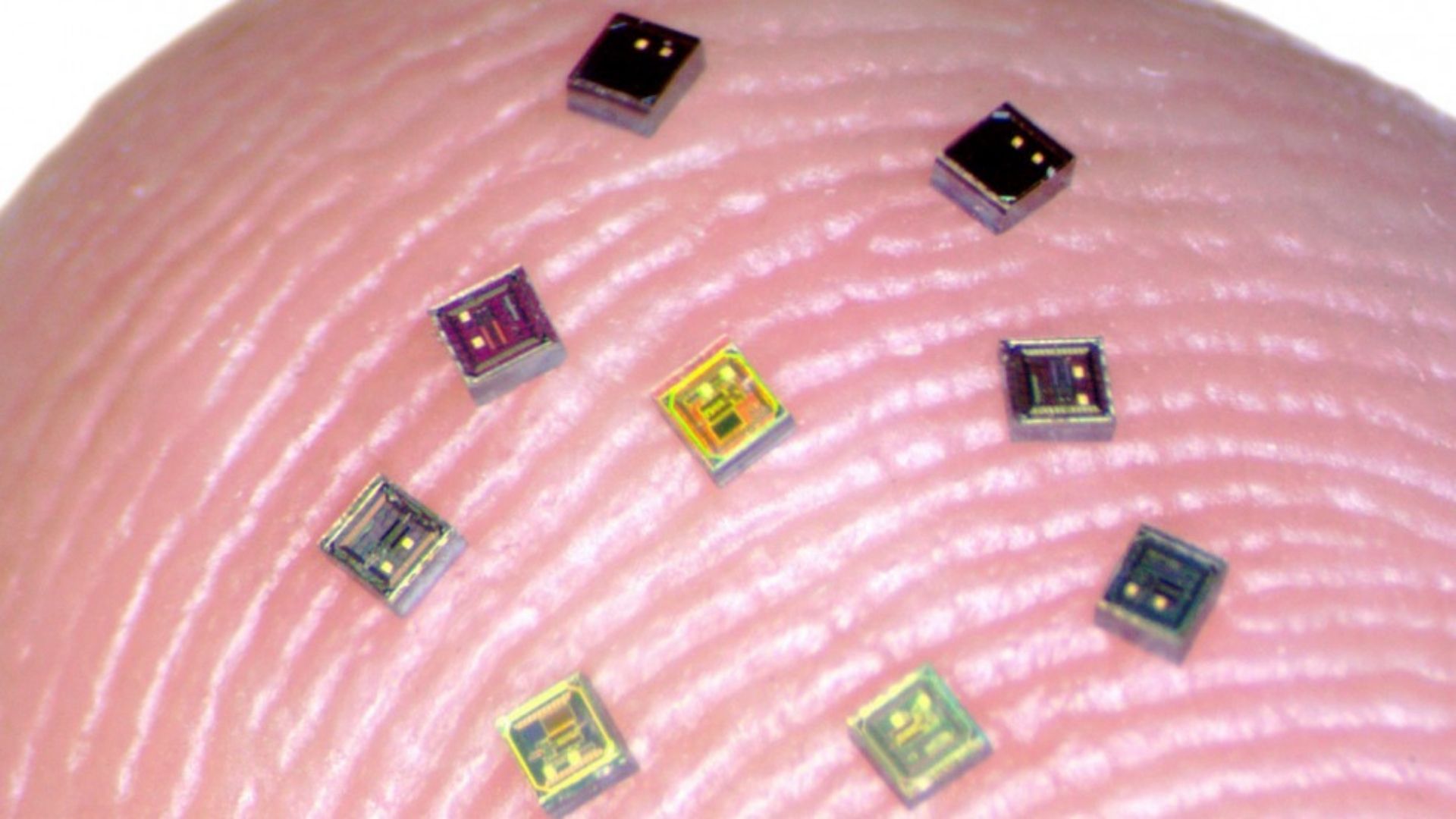 Scientists create salt-sized sensor to unlock mind secrets wirelessly Scientists create salt-sized sensor to unlock mind secrets wirelessly