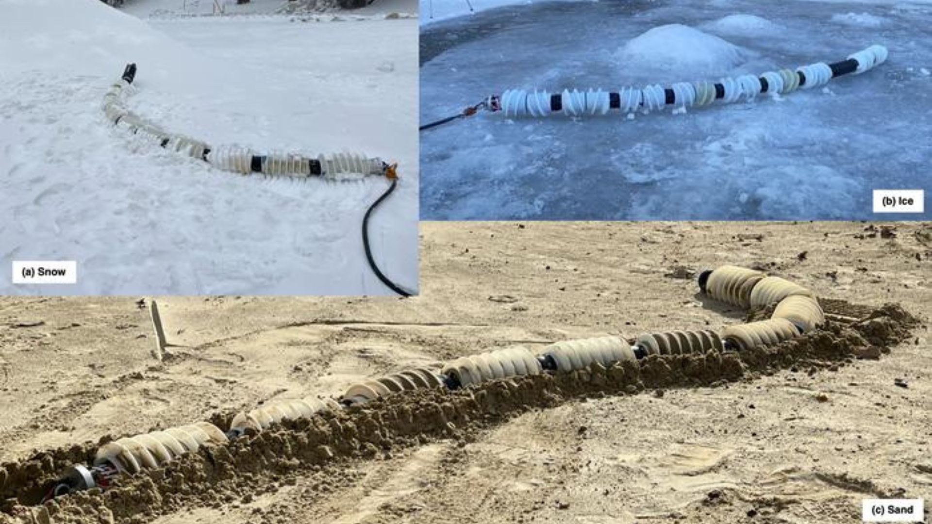 NASA: Snake-like robot ready to advance probe on Saturn moon Enceladus - Interesting Engineering