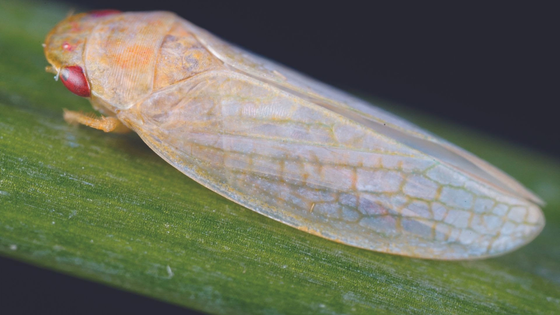 NASA's interstellar Voyager 1 and 2 probes have now been in space for ...