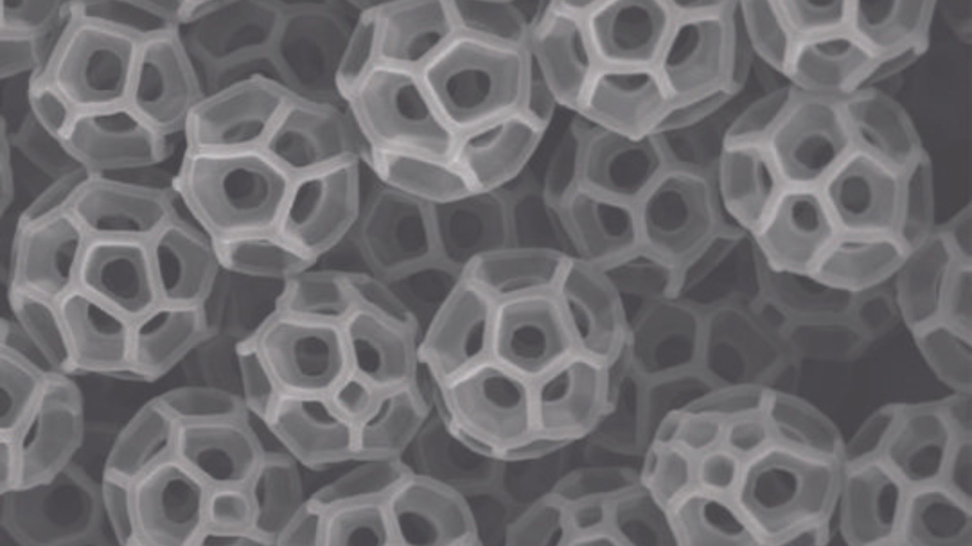 Stealth tech takes cue from backyard insect for invisibility innovation