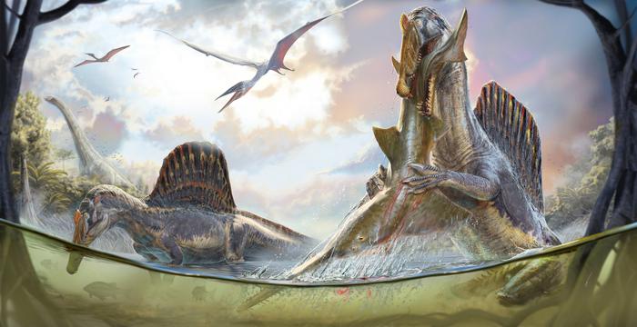 Heron from hell: Study debunks giant dinosaur as deep-sea hunter
