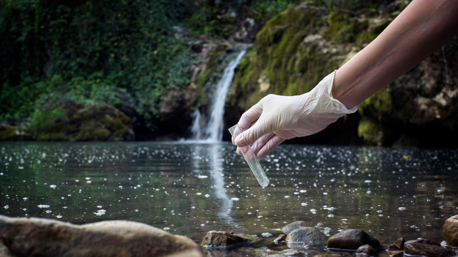 Scientists debut new method to detect pharmaceutical toxins in water ...
