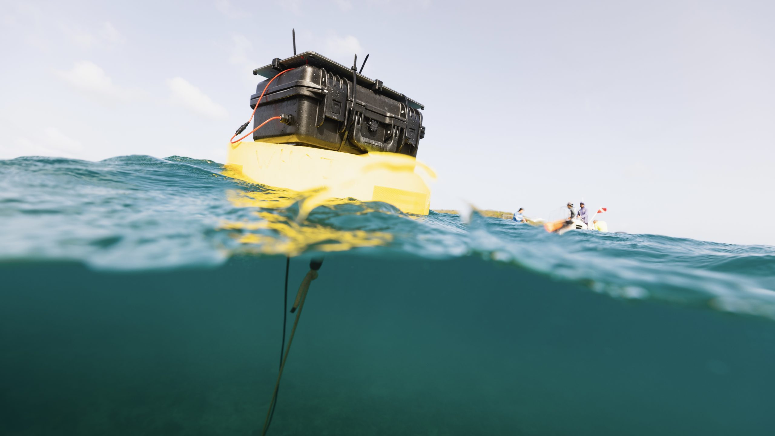 Restoring coral reefs with the sounds of the sea - Interesting Engineering