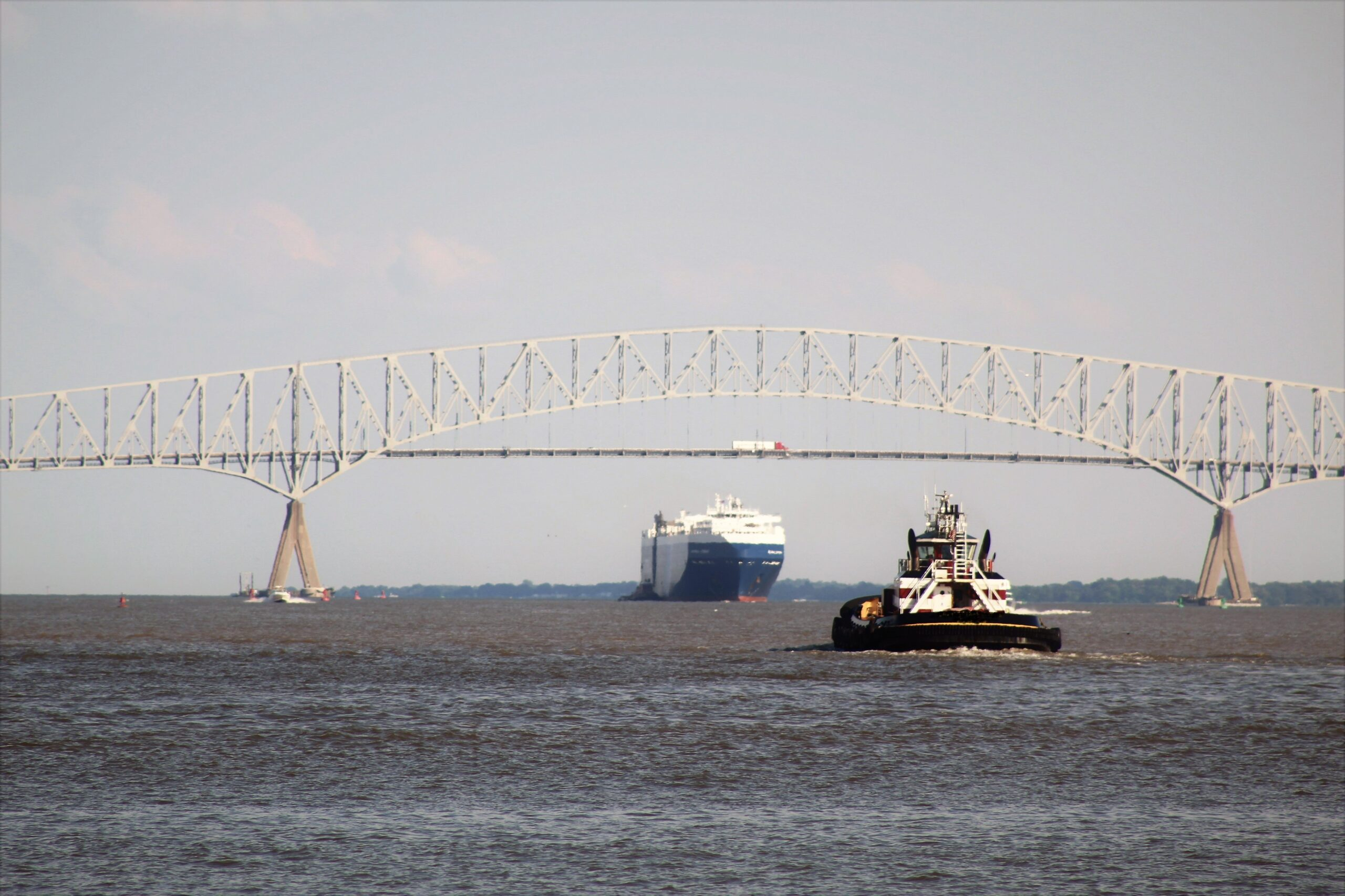 Understanding the domino effect in Baltimore bridge disaster ...