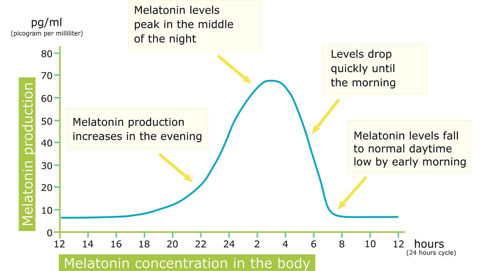 The color of sleep: Decoding the impact of light on circadian rhythm ...