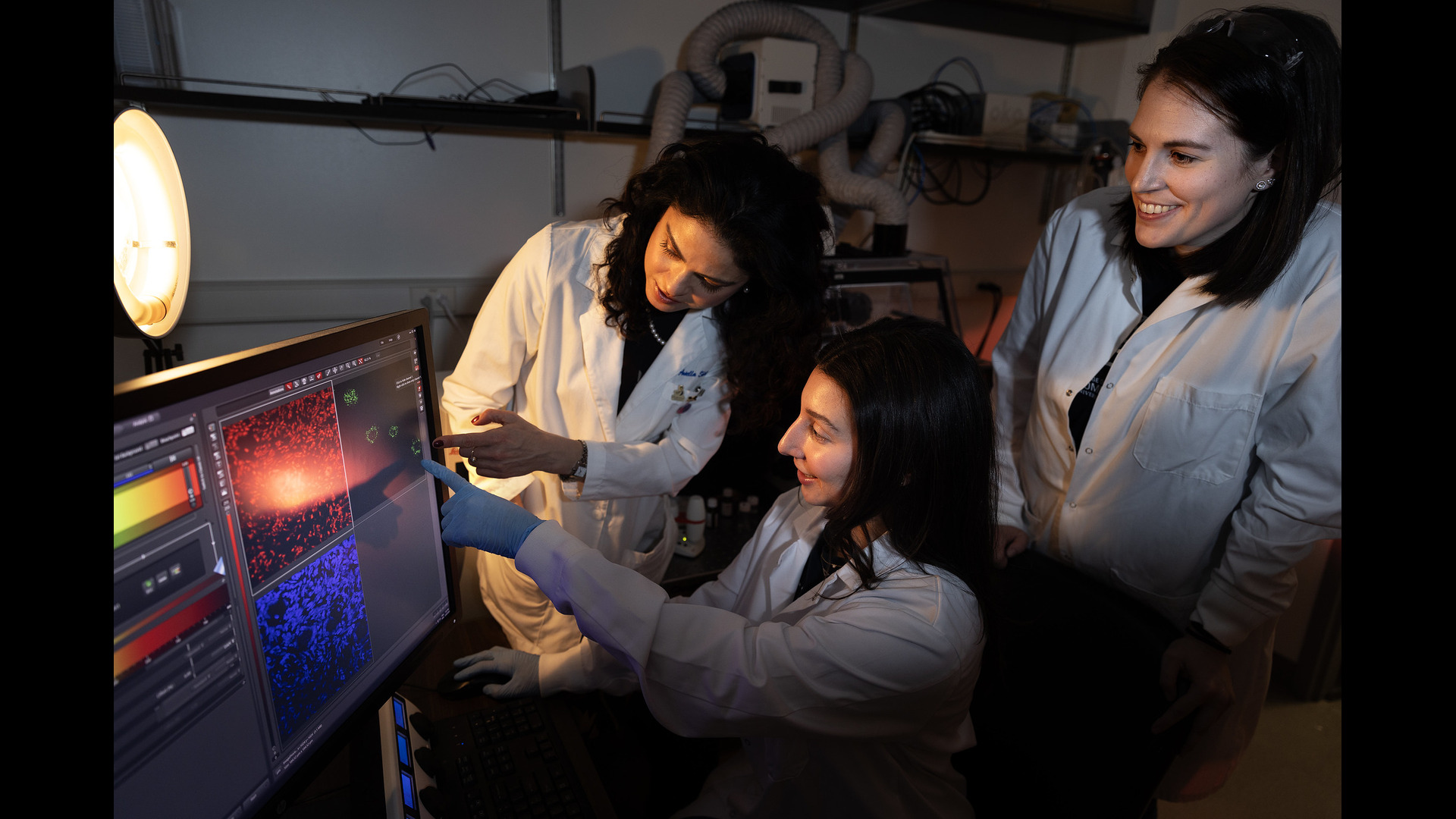 Artificial ovary? First atlas of human ovary, a fertility breakthrough