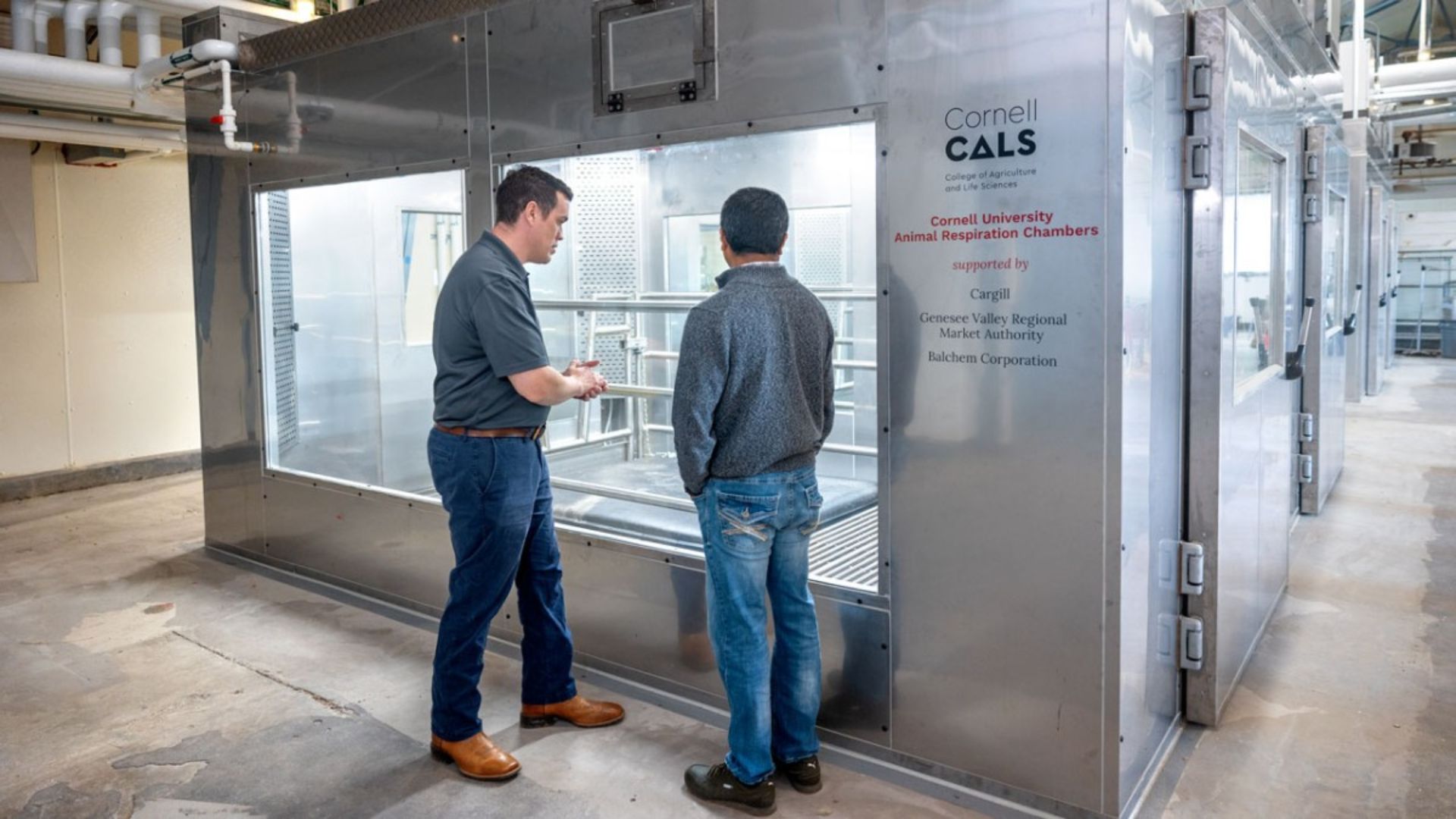 Moo-ve over methane: Cornell installs cow burp-checking chambers