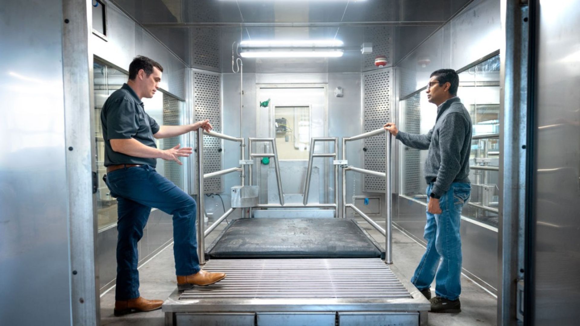 Moo-ve over methane: Cornell installs cow burp-checking chambers