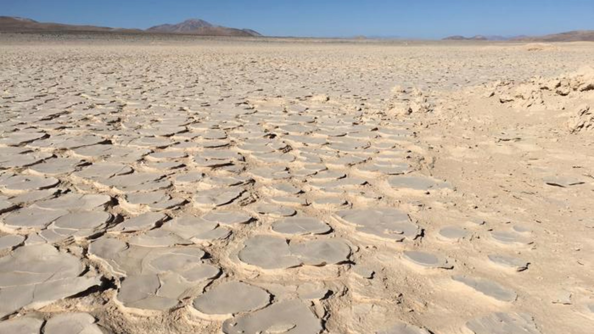 Secret biosphere found 13 feet below world's driest hot desert