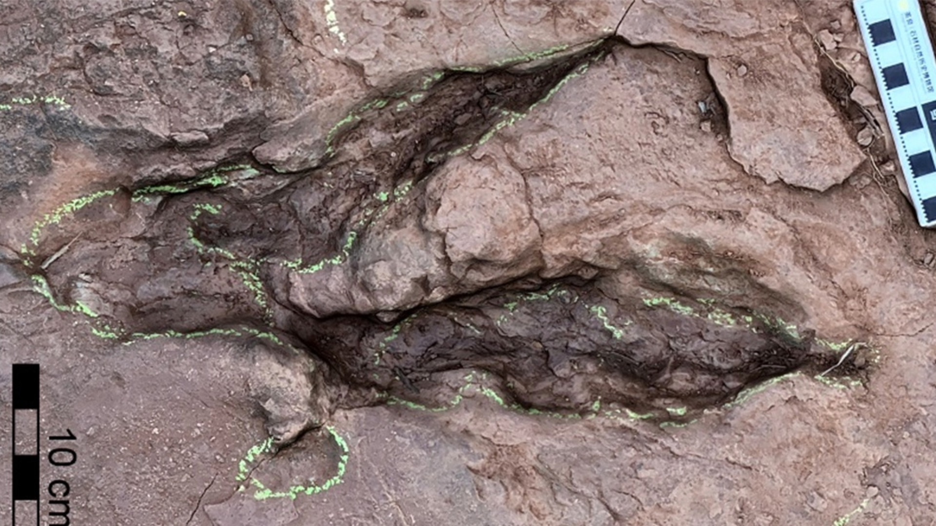 Massive dinosaur tracks indicate existence of largest-ever raptor