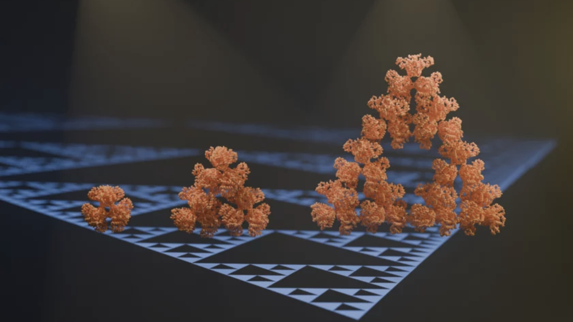 Rare discovery: First fractal molecule identified inside bacteria