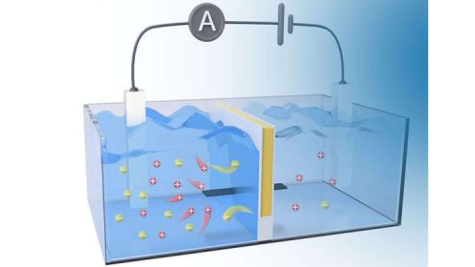 Chinese team’s salt battery harnesses osmotic power at river estuaries