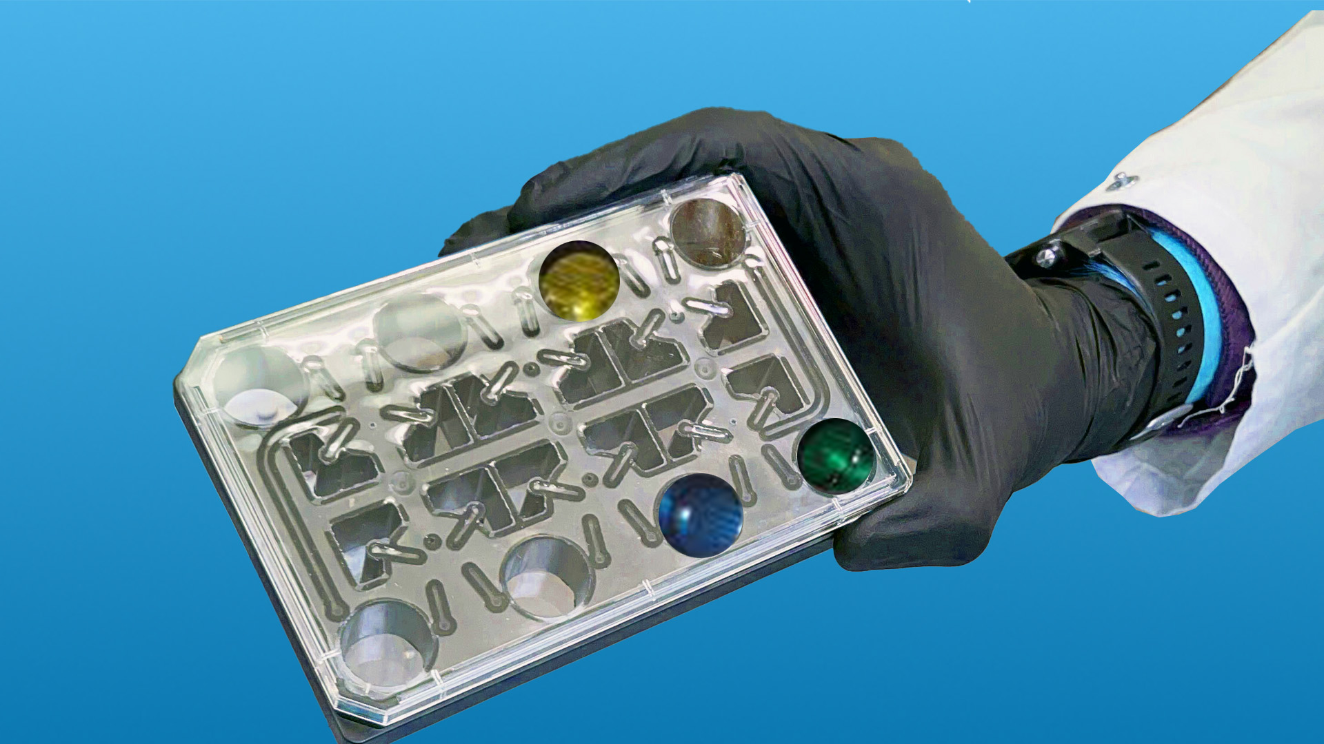 How to simulate a human body - in the lab