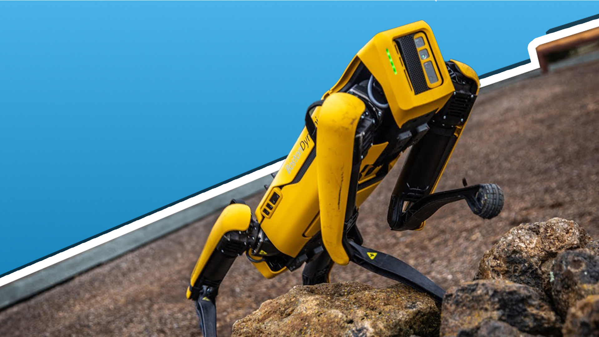 Hero robodog shot in the line of duty