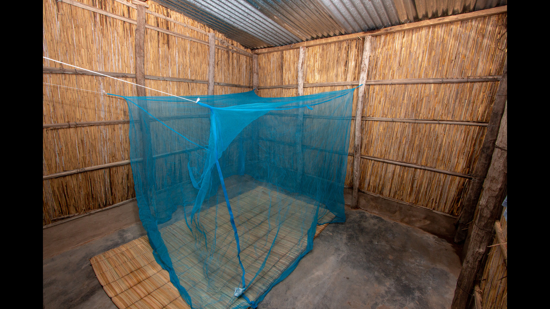 New mosquito net prevents 13 million malaria cases in 3 years