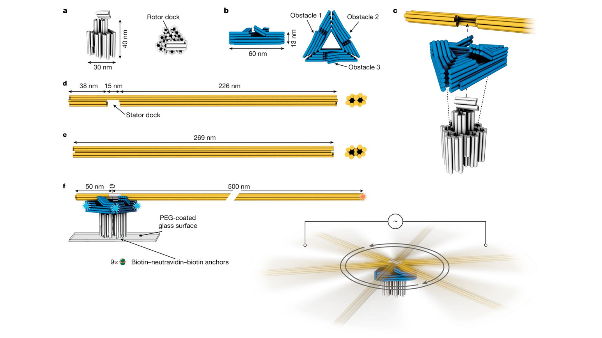 This autonomous DNA nano turbine could redefine drug delivery ...