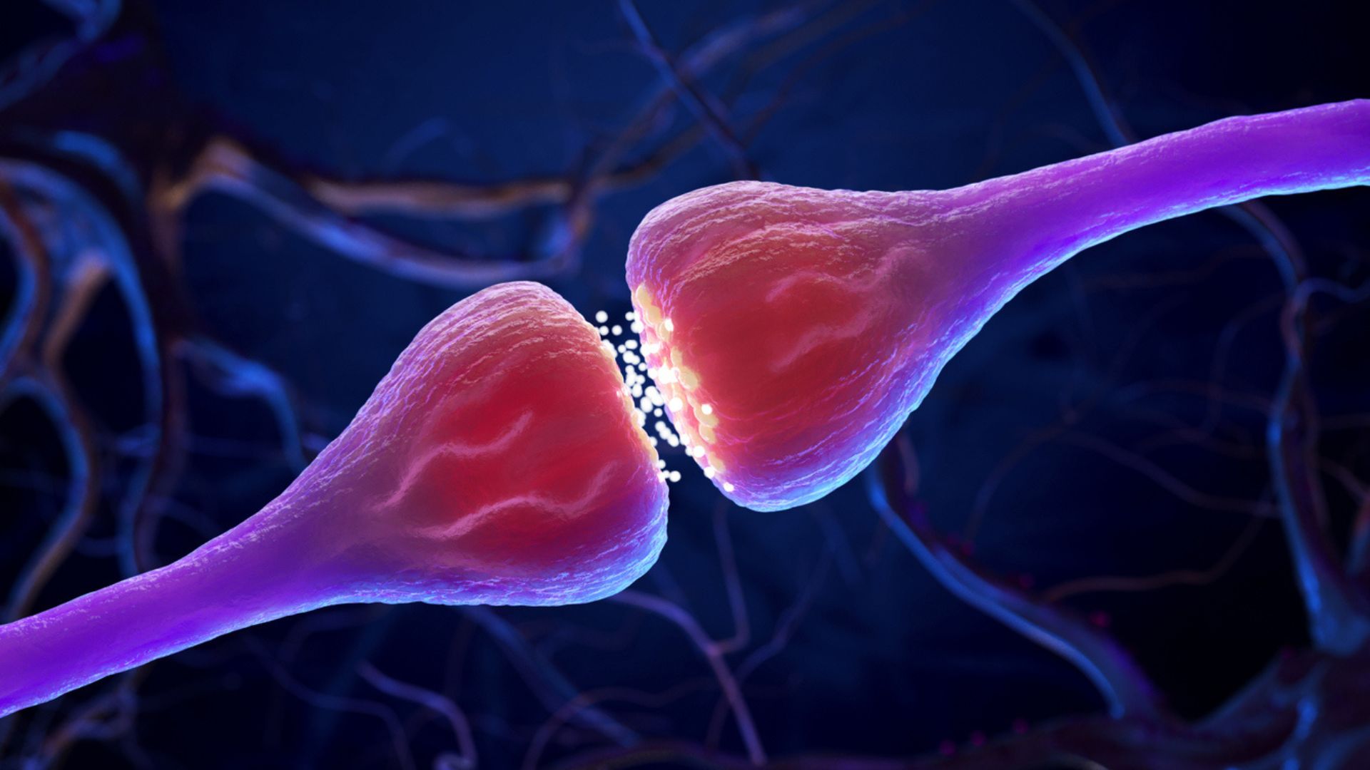 Neural networks: What it takes to build brain-like computers ...