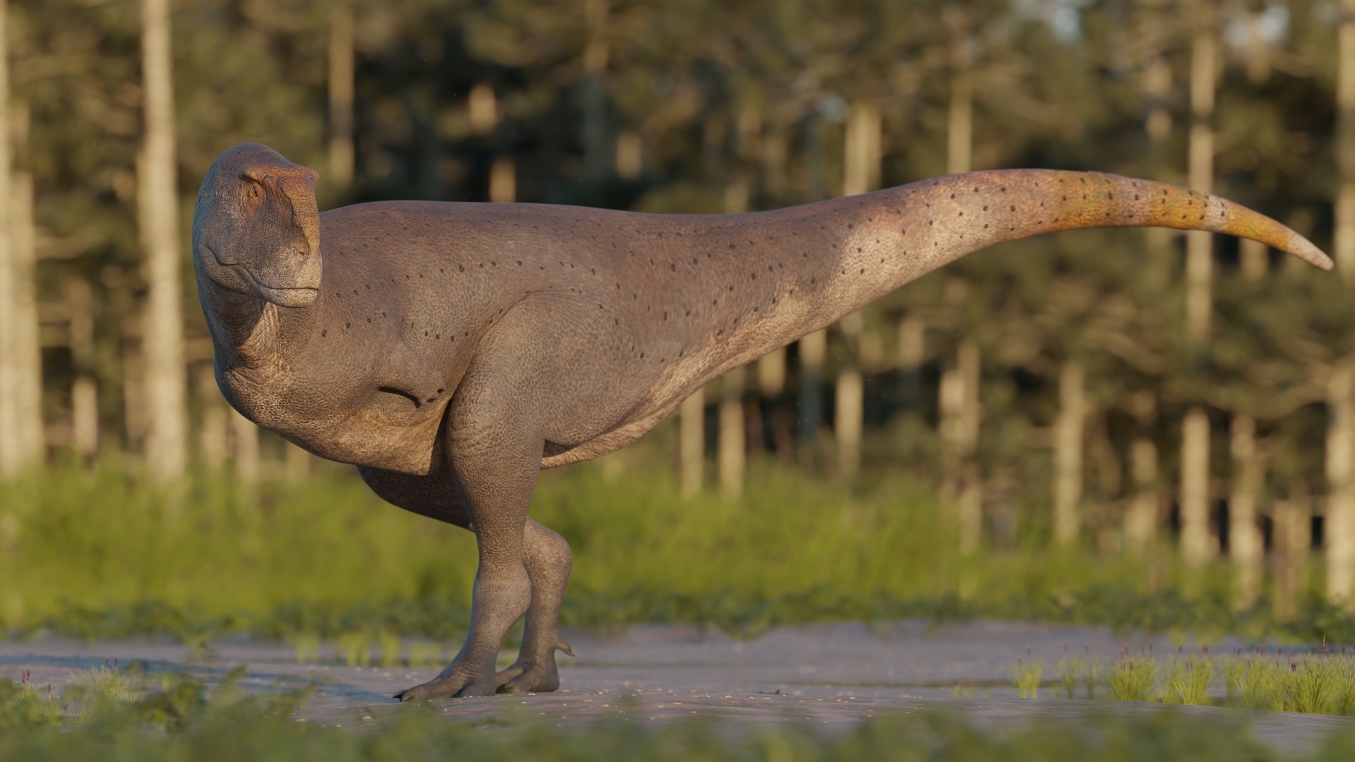 Photos: Meet hornless relative of Jurassic World’s ‘Meat Bull’ dinosaur