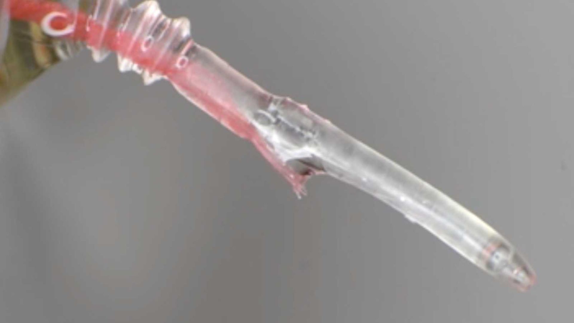 Fingernail-sized super-flexible robot can aid in rescue ops