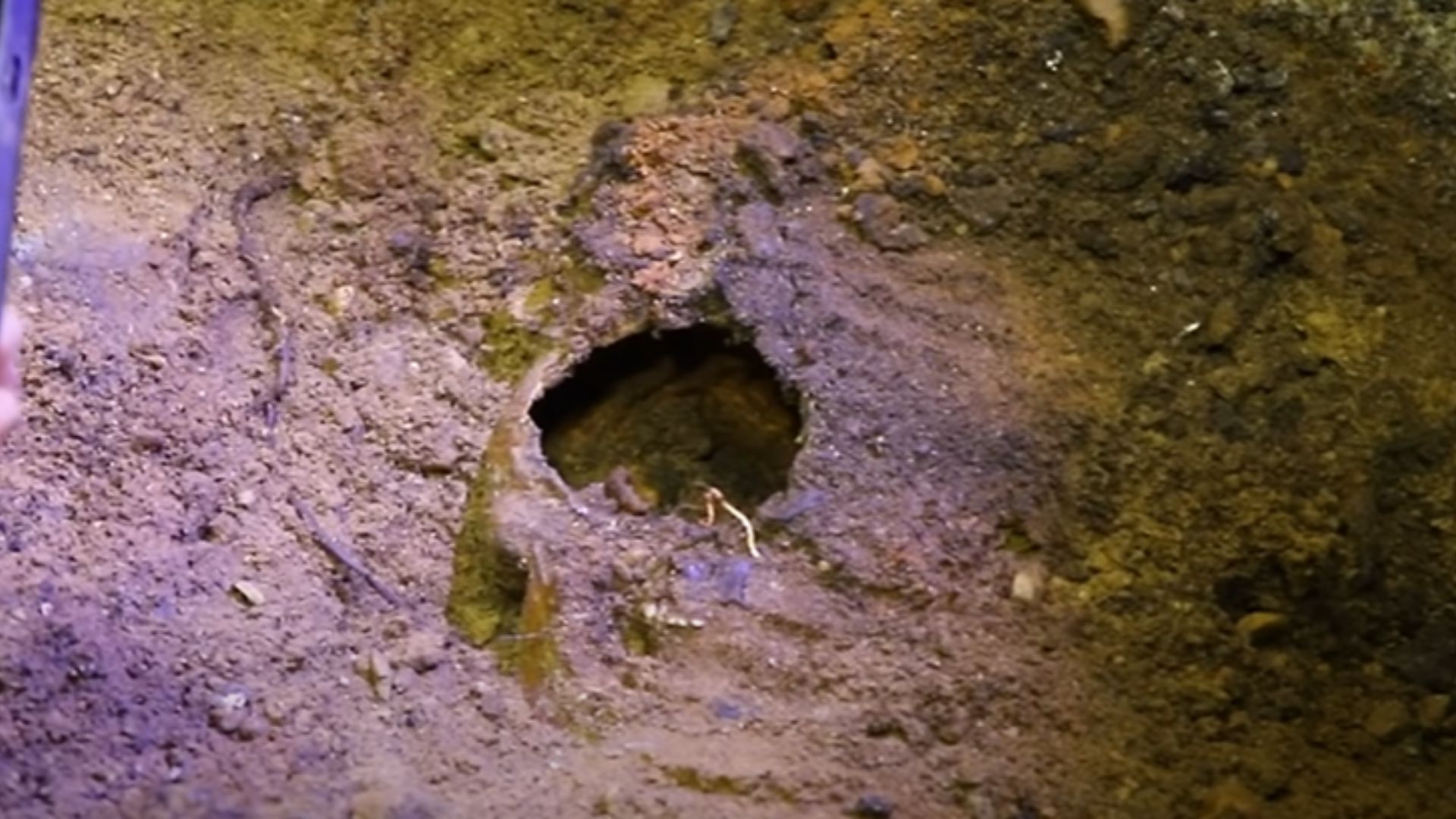 Hitler’s secret Lair stuns archaeologists, 5 limbless skeletons found