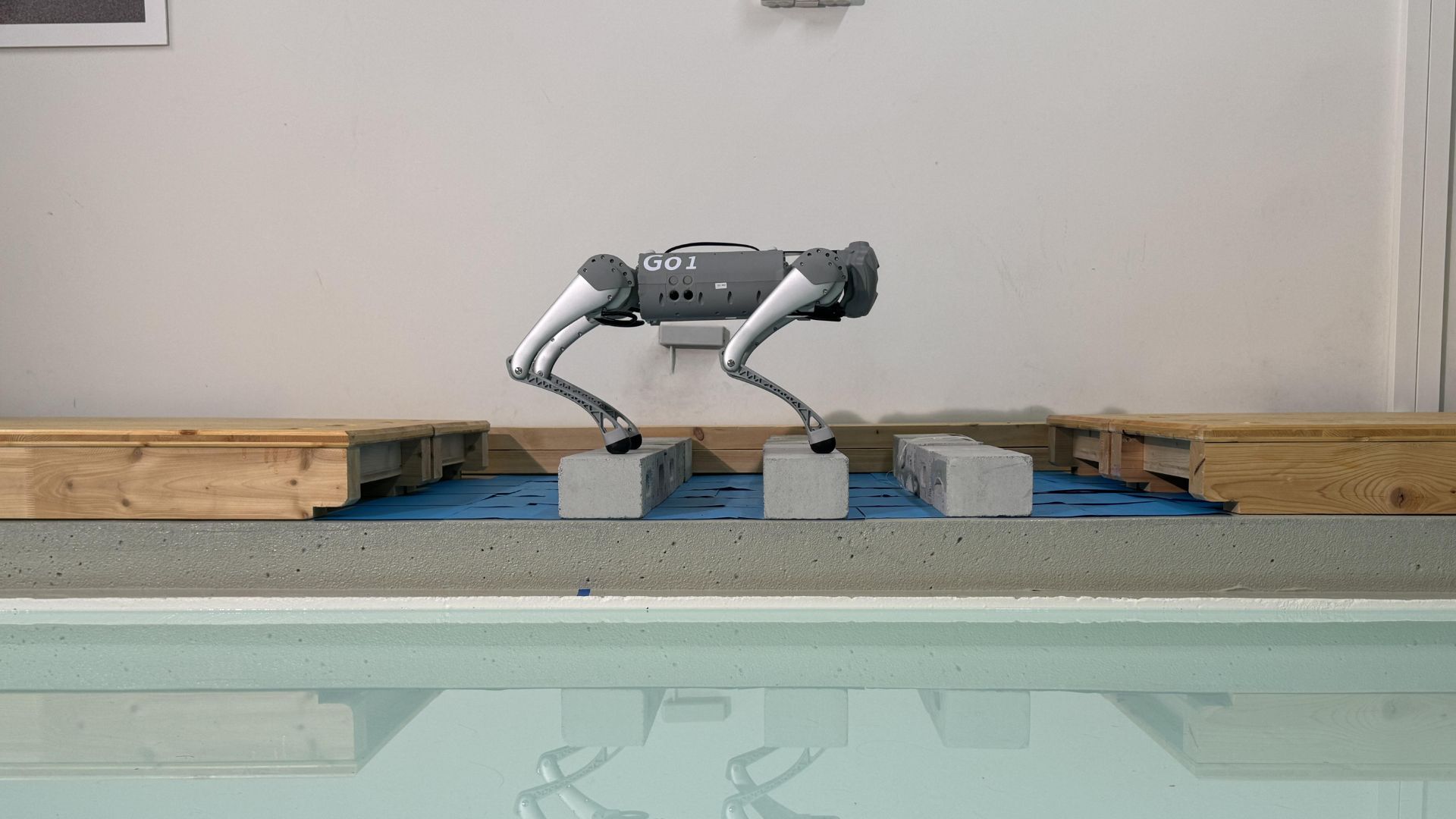 Robot dog masters walking, trotting, pronking in a major milestone