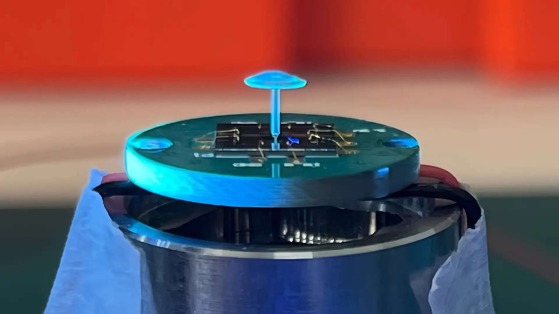 New heart monitor mimics sea turtle anatomy for better sensitivity