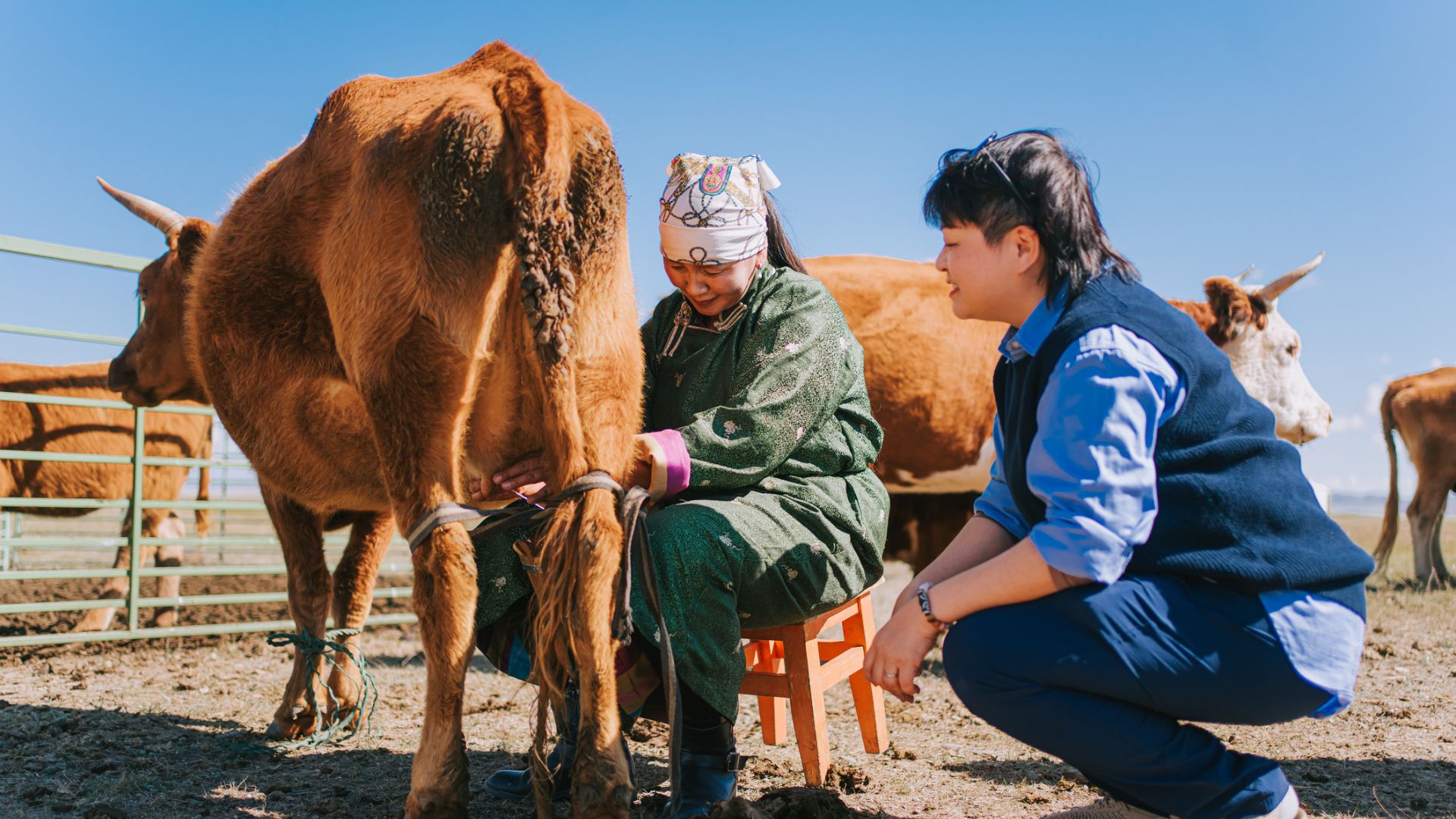 Cow's milk vs. plant-based milk: Which is better for you? - Interesting ...
