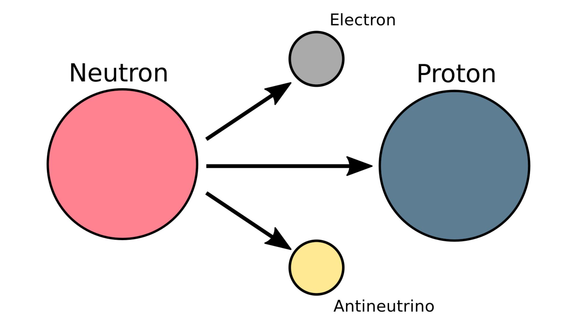 Majorana fermions: Can a particle be its own antiparticle ...