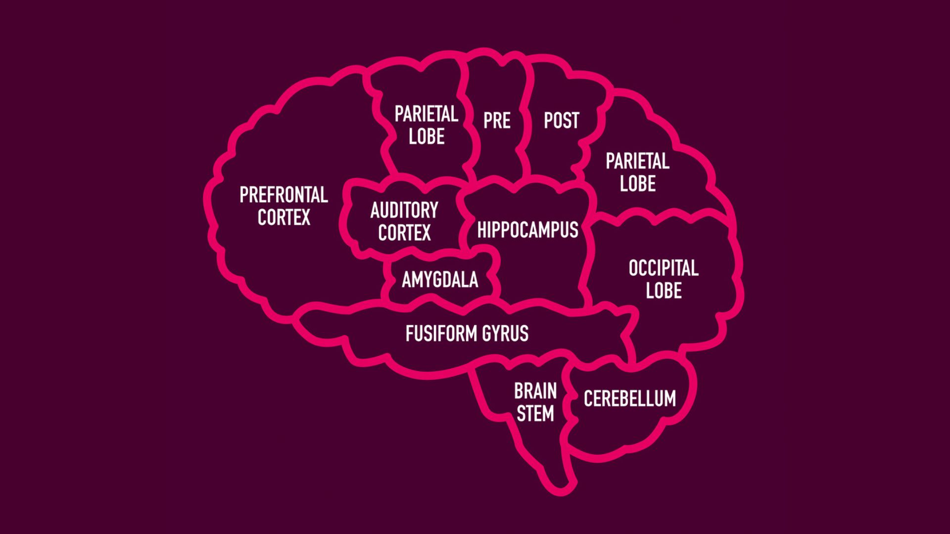 Pareidolia explained: Why we see faces in everyday objects ...