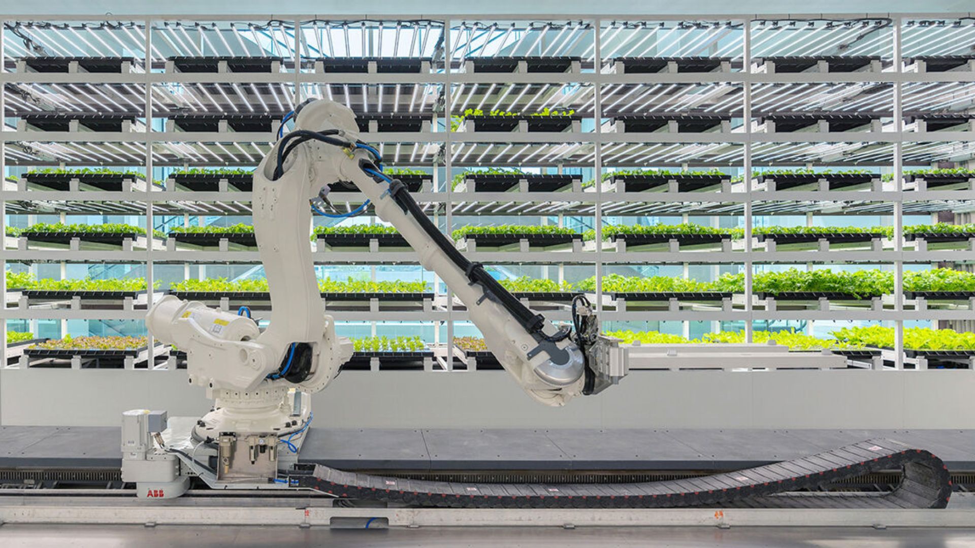 Photos: Hyundai's robot-powered farm fuels Michelin-starred restaurant