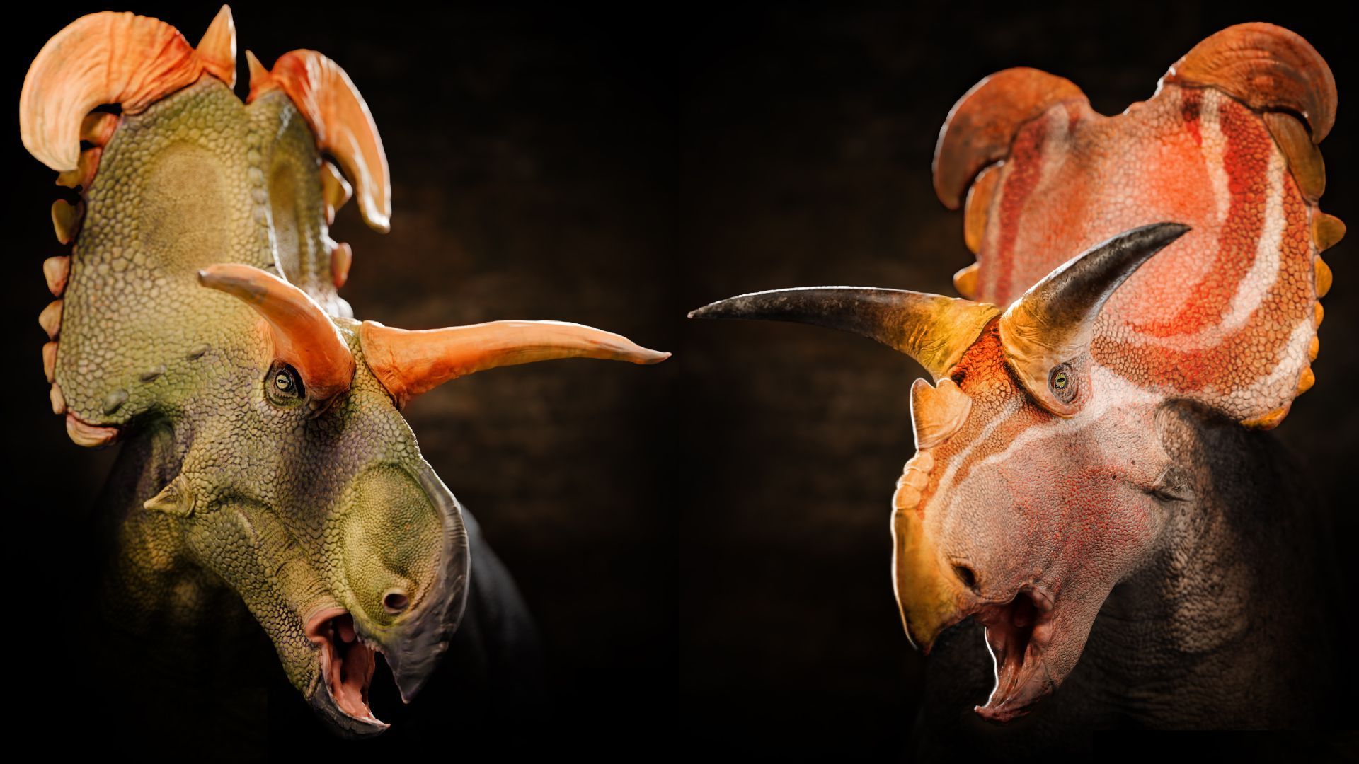 Estimated 11,000-pound, largest horned dinosaur fossil found in US