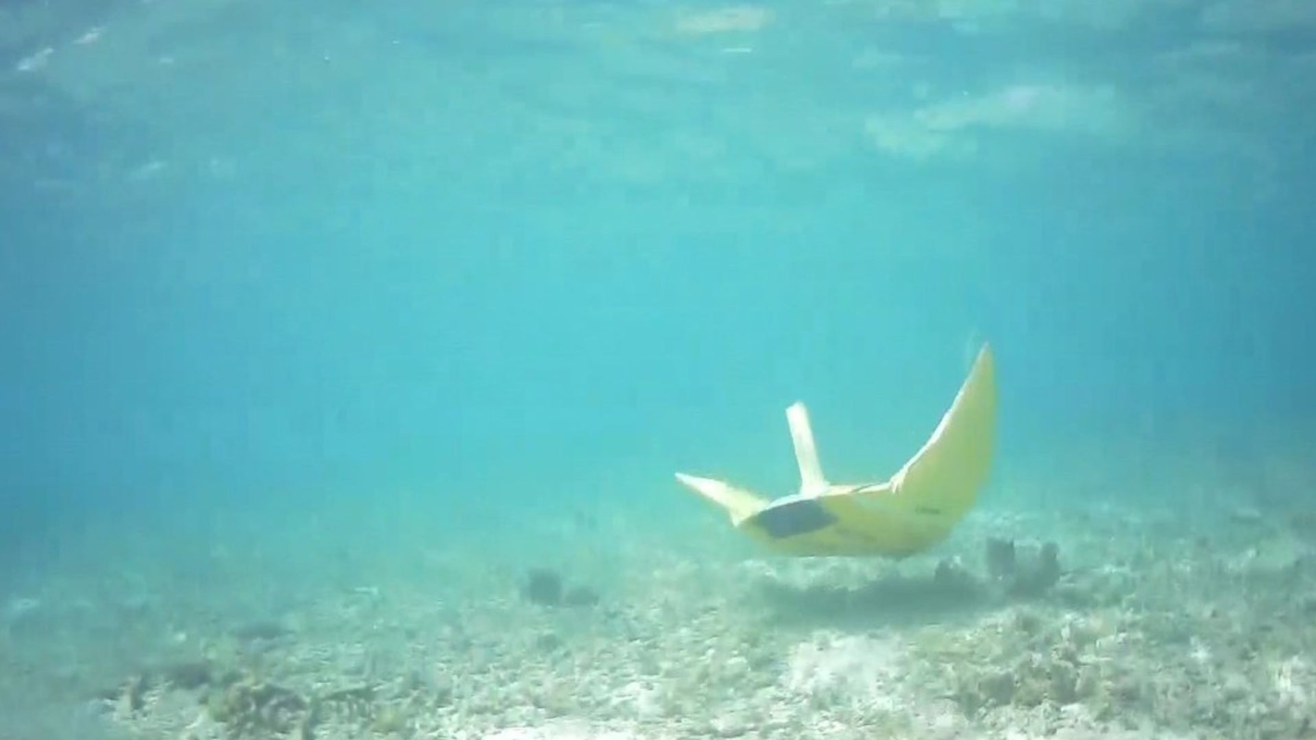 China plans to deploy fleet of US Manta Ray-like undersea spy drones