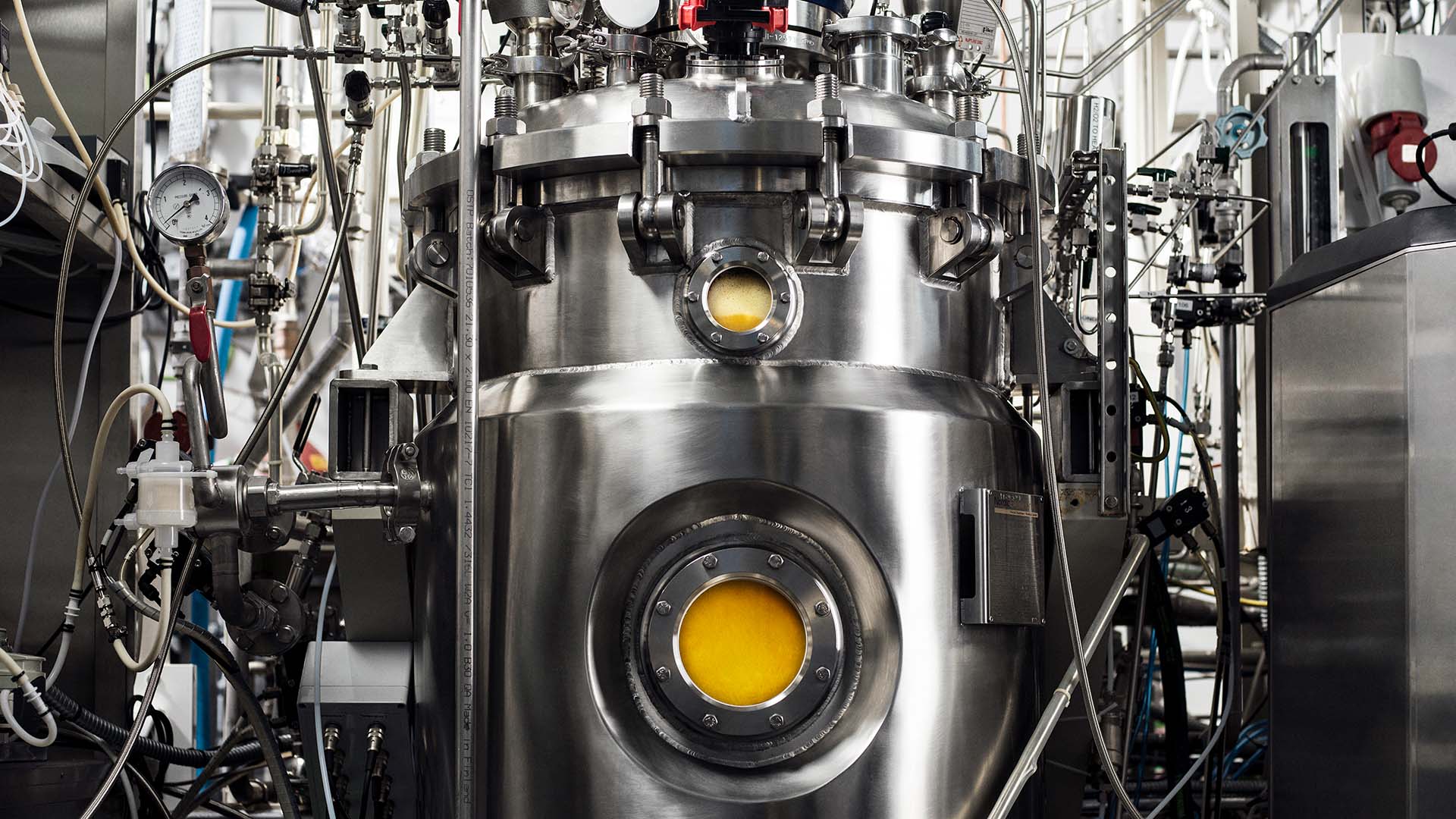 Solar Foods wants to feed the world with food made out of thin air