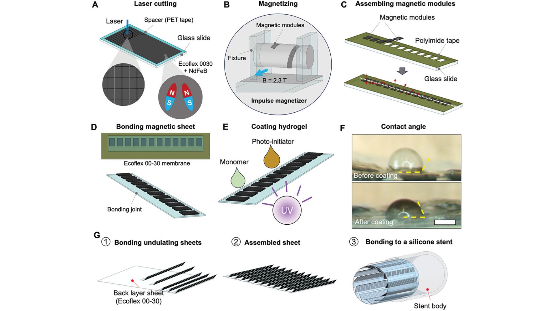 Wireless robotic device mimics esophagus, gut muscles, aids digestion