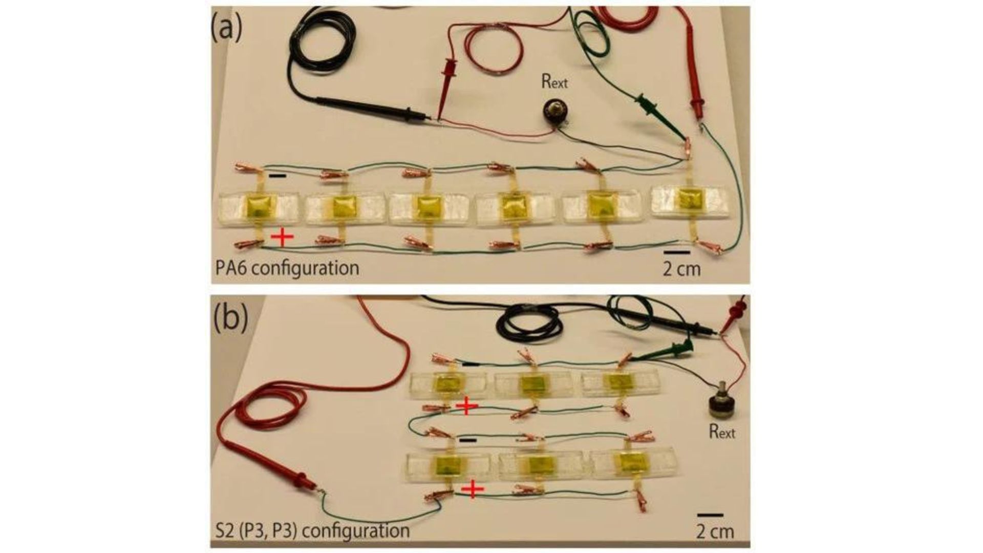 Algae-fueled power cells offer a carbon negative energy source