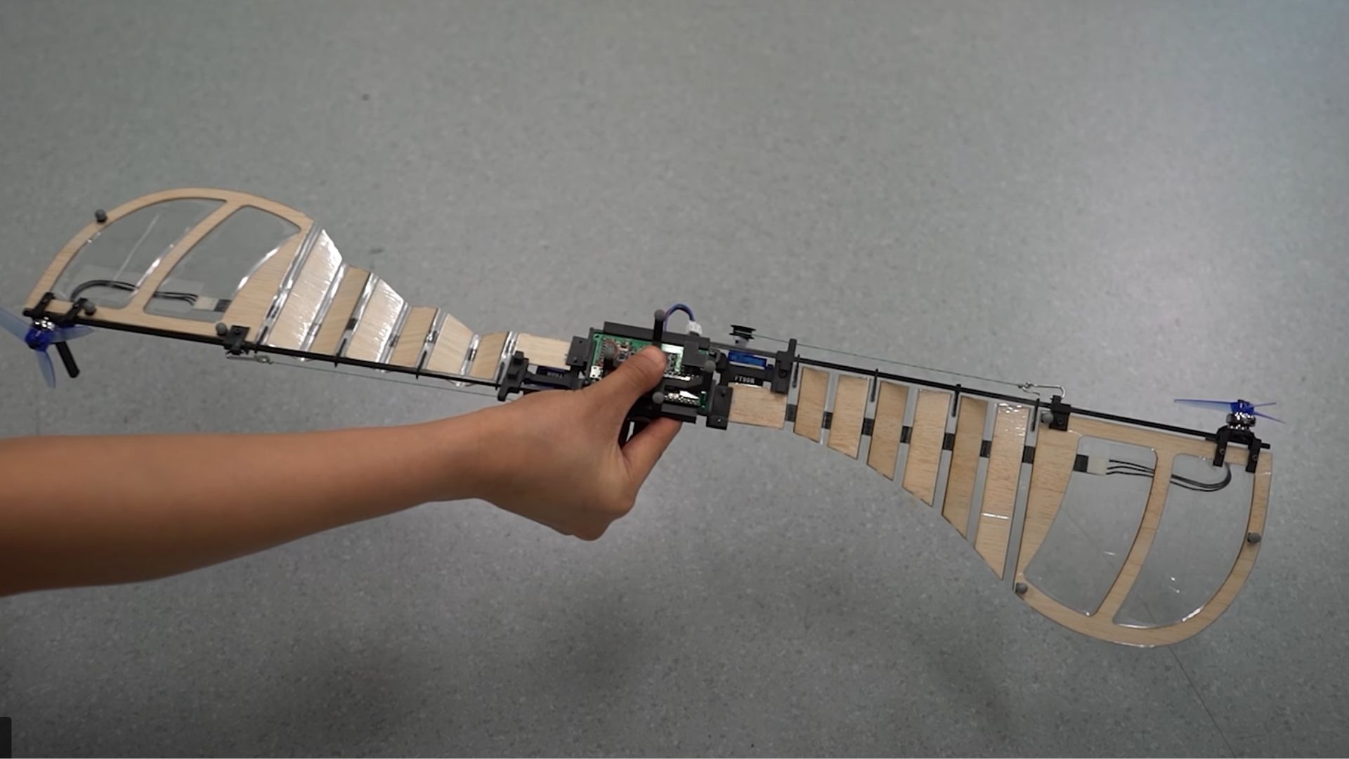 Nature-inspired 'monocopter' folds wings mid-air, dives fast to escape