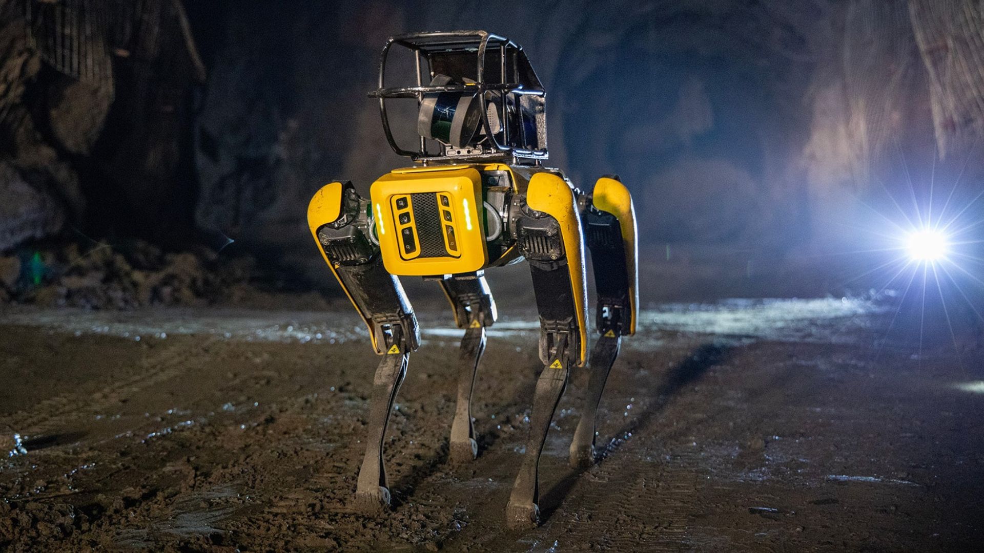 Spot: Boston Dynamics’ robot dog burns just weed, not crop in need