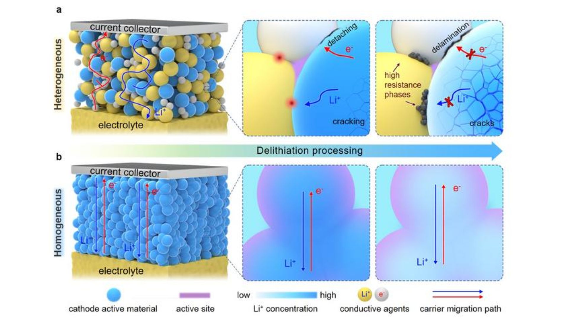 Scientists boost EV battery life by 20,000 cycles with new design