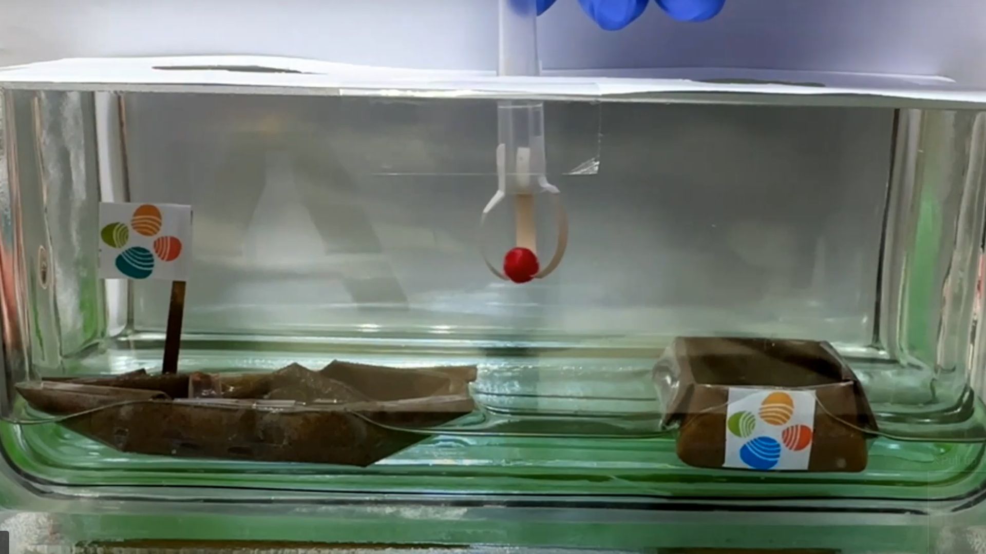 Scientists create shape-shifting robot ‘claw’ using vapor power