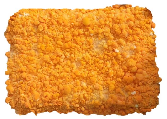 UC Berkley scientist uses fungi to turn food waste into fresh treat