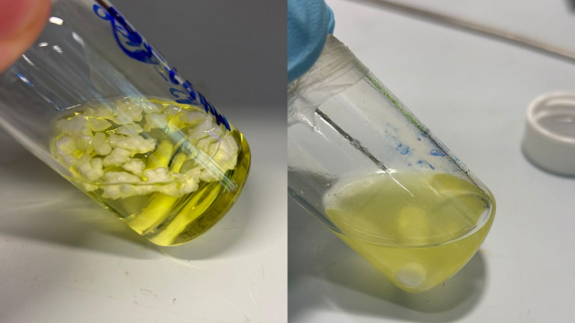 Tough plastics broken down with common chemical, sunlight, air