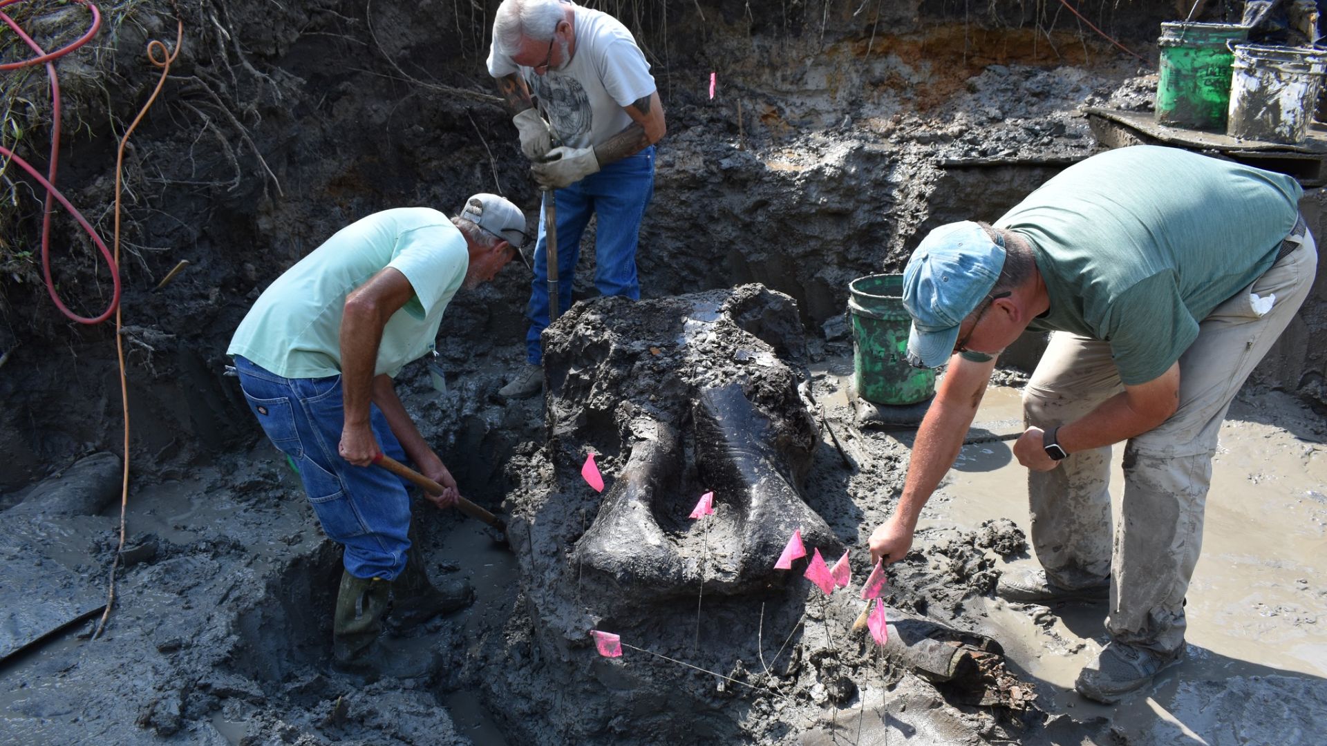 13,600-year-old remarkably intact mastodon skull discovered in Iowa