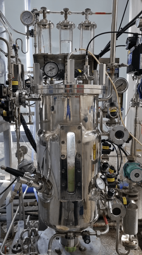 In a first, bacteria engineered to make heat-stable bioplastics